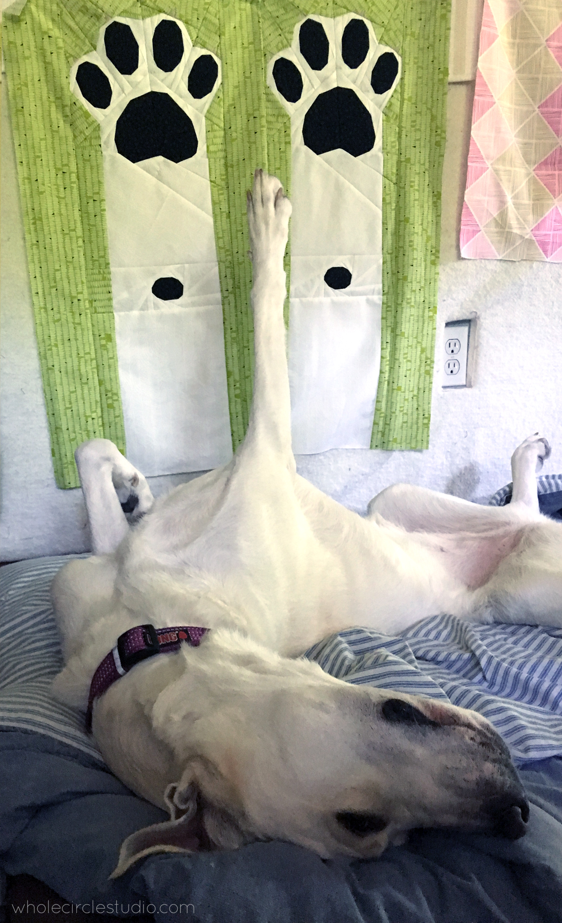 behind the scenes: Paws Up! quilt - whole circle studio