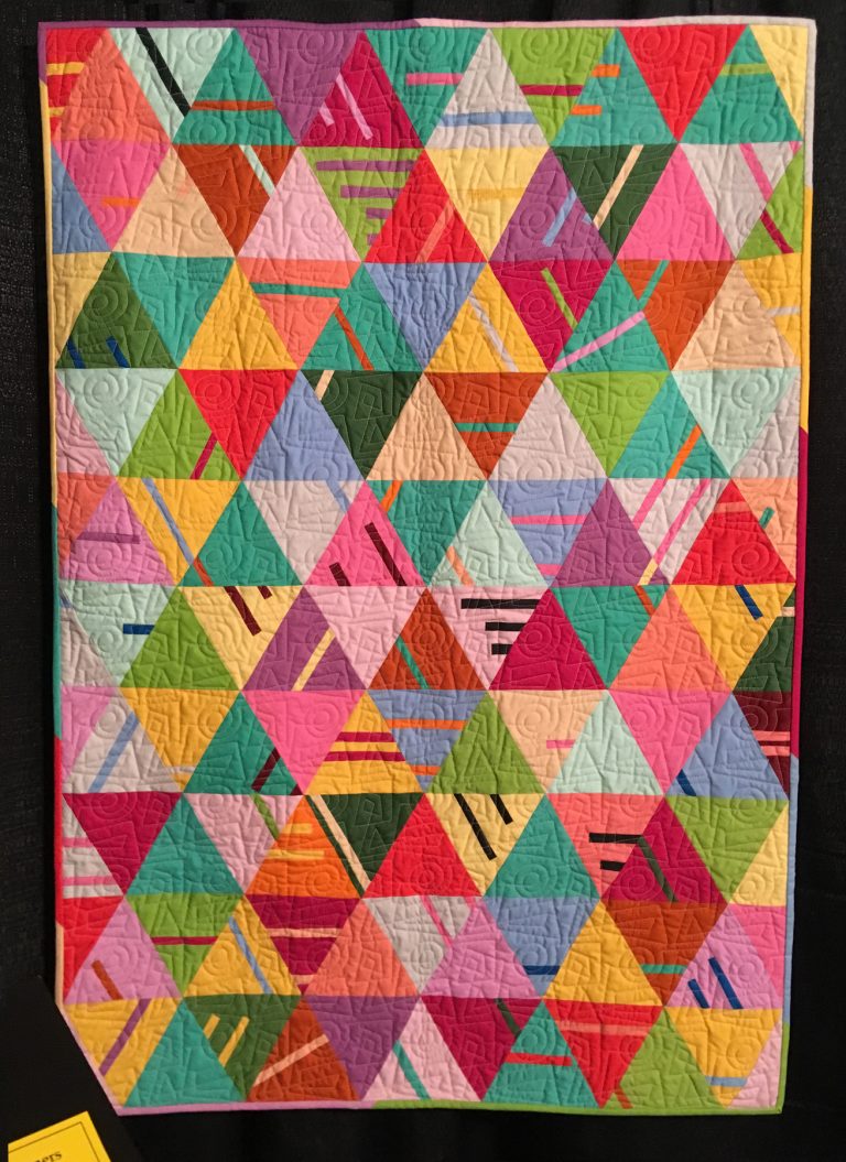 21 modern quilts from the 2019 Modern Quilt Showcase - whole circle studio