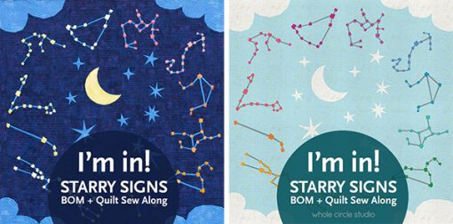 Welcome to the Starry Signs BOM: Quilt Block 1 — Capricorn ...