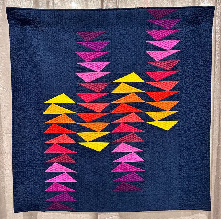 9 Modern Traditionalism Quilts from QuiltCon 2024 - whole circle studio