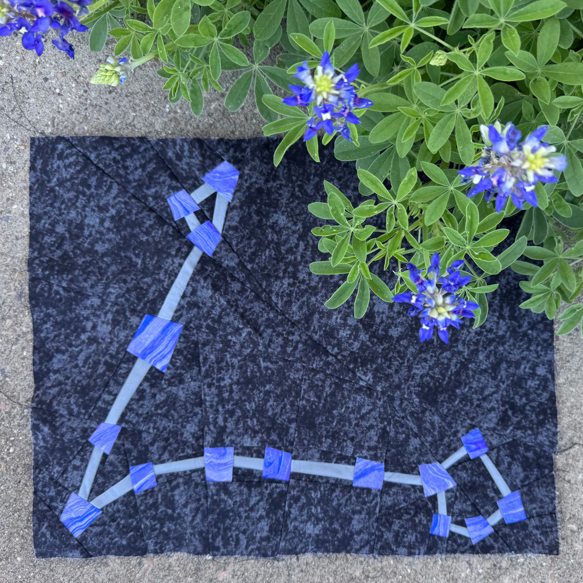 Starry Signs Block of the Month: Quilt Block 3 — Pisces Constellation ...